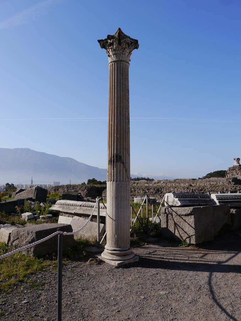 VIII.1.3 Pompeii. W.1606. Looking west towards column in Temple of ...