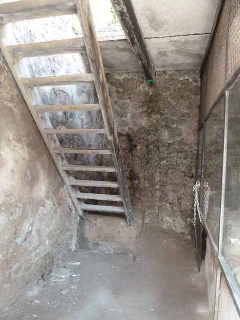 IX.11.2 Pompeii. September 2017. Detail of upper ladder and ceiling ...