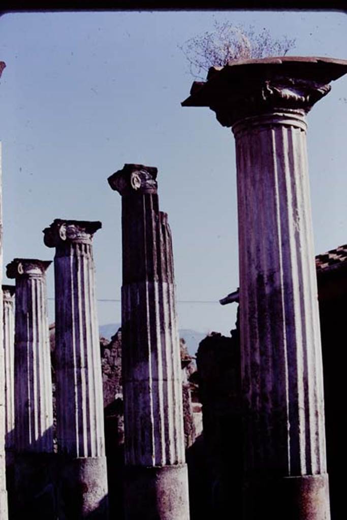 VII.4.31/51 Pompeii, 1978. Columns in the middle peristyle. Photo by ...